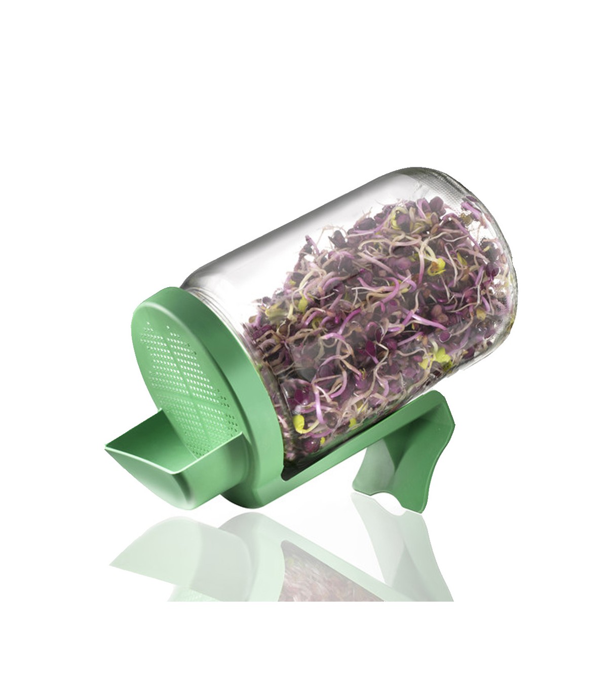 Germoir en verre Germline, sans bpa lot de 3 germoirs - Nature et ...