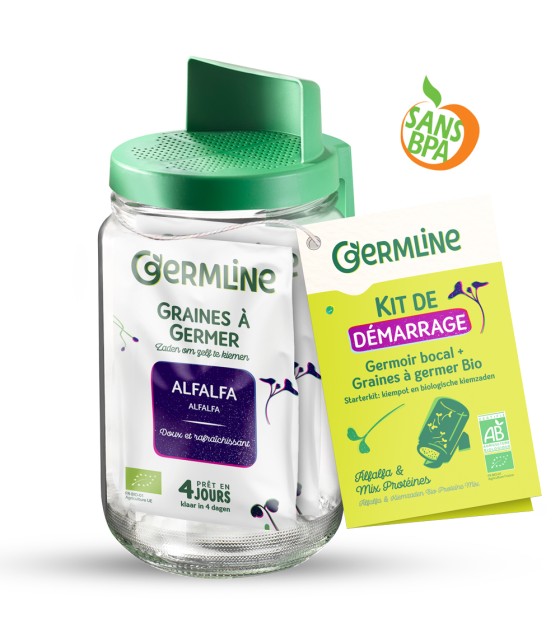 Germoir à graines en verre - automatique - à étages 🍏